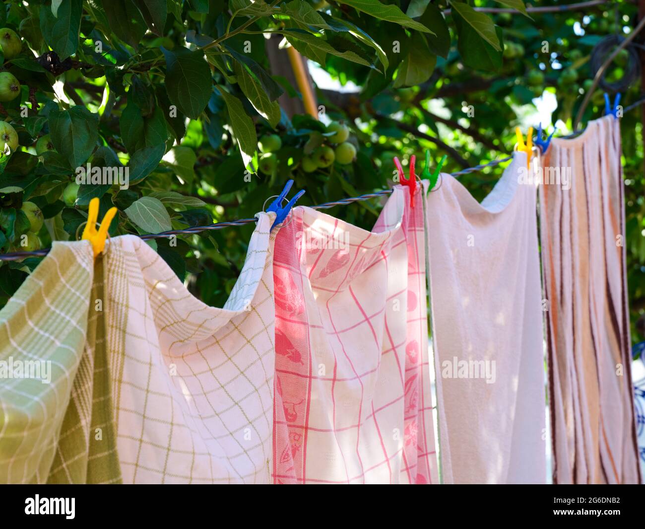 Clothes hanging on a tree hi-res stock photography and images - Alamy
