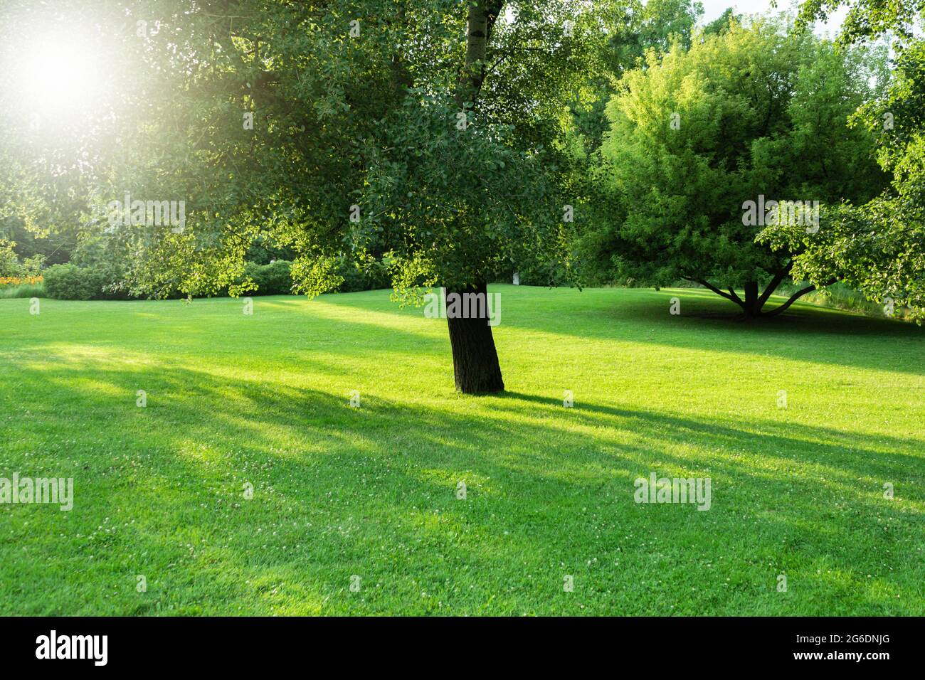 Modern landscape design hi-res stock photography and images - Alamy