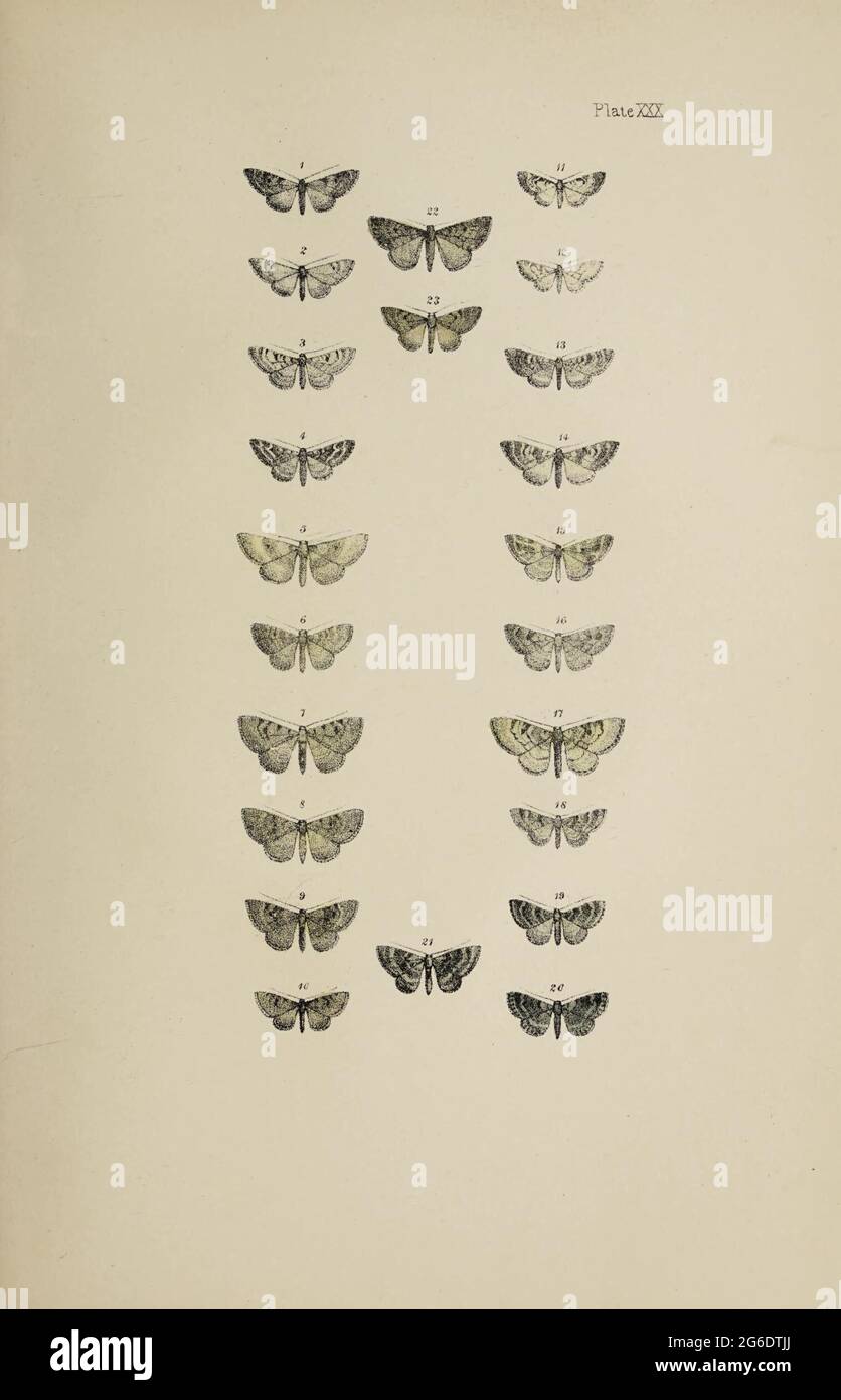 John c nimmo hi-res stock photography and images - Alamy