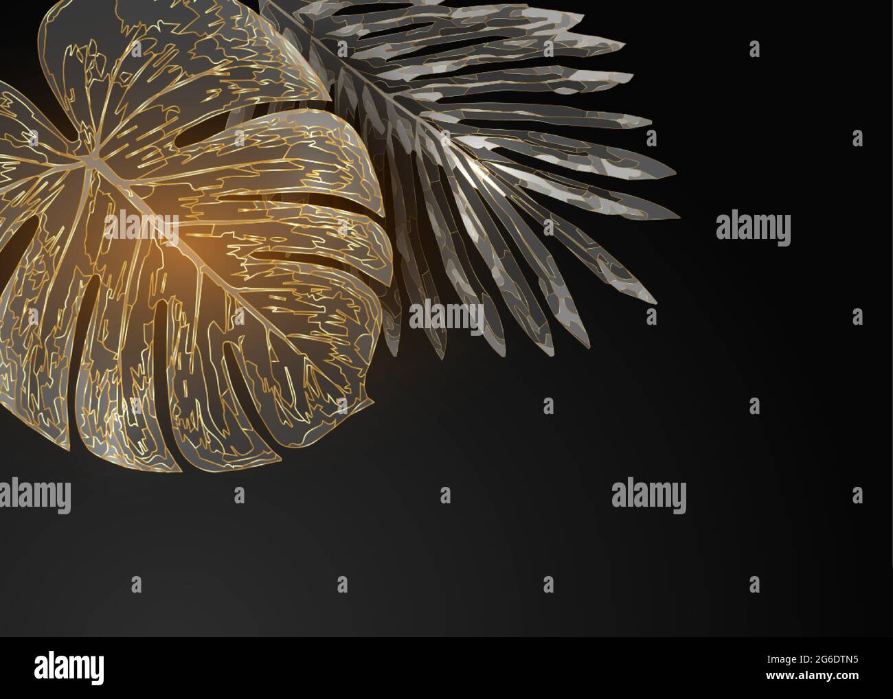 Plain Shiny Black Background