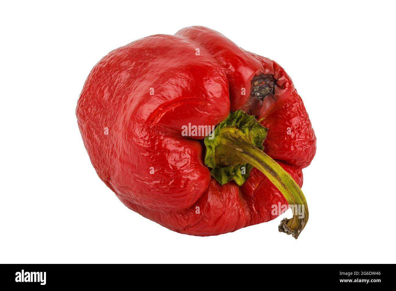 rotten red bell pepper isolated on white background Stock Photo - Alamy