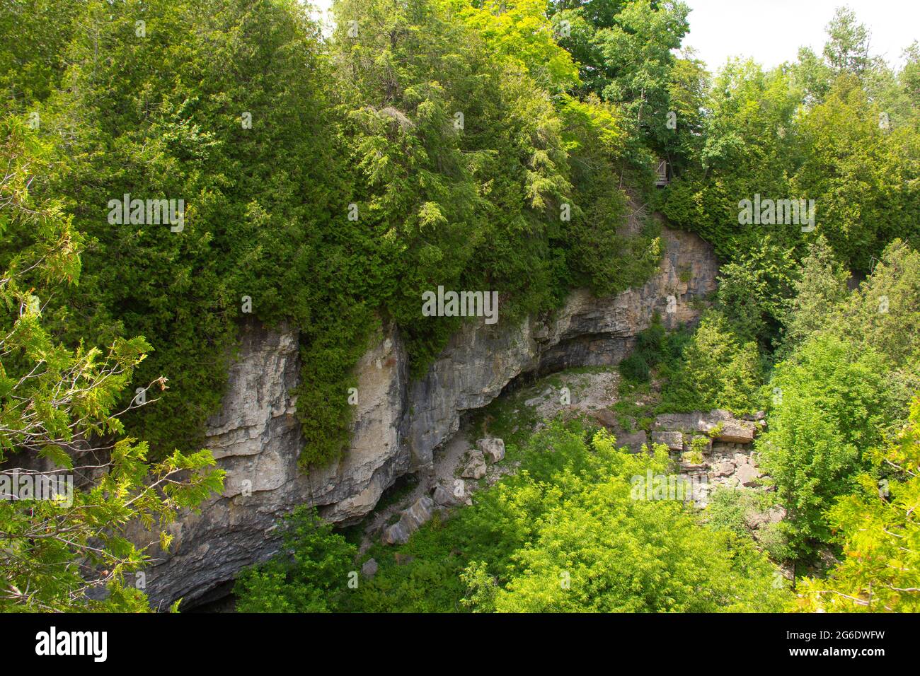 Rock face with trees Stock Photo - Alamy
