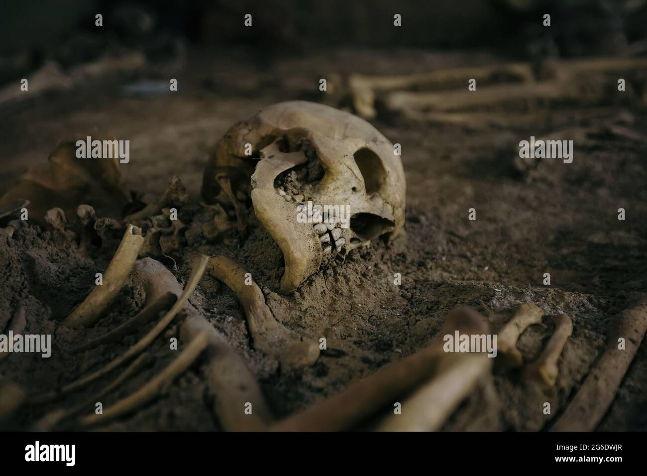 Old human skeleton in ancient tomb at archaeological excavation Stock ...