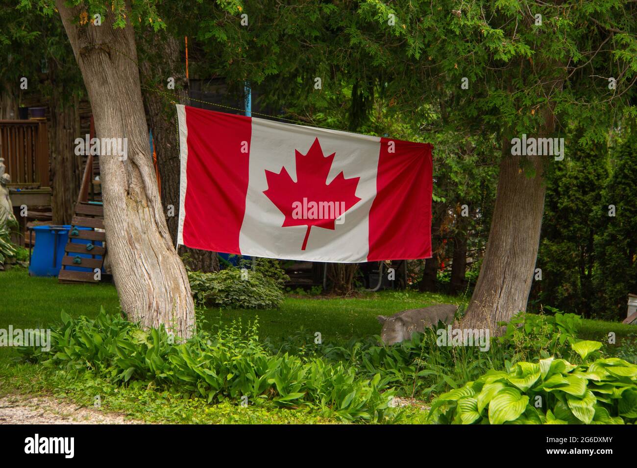 Flag trees hi-res stock photography and images - Alamy