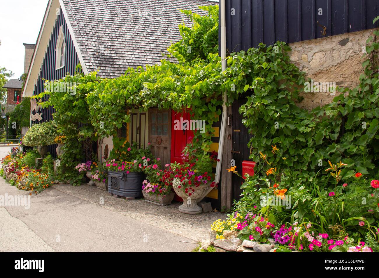 Annuals and perennials hi-res stock photography and images - Alamy