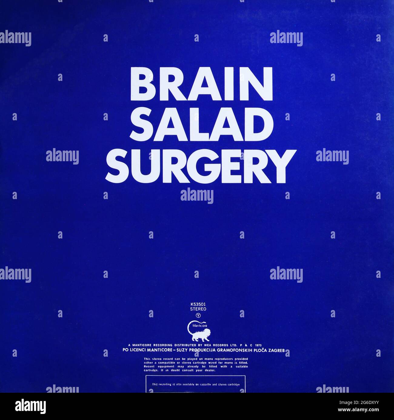 Brain Salad Surgery Meme