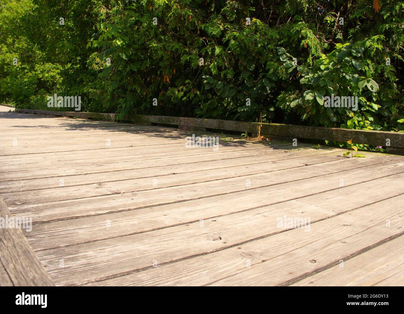 Boardwalk planks hi-res stock photography and images - Alamy
