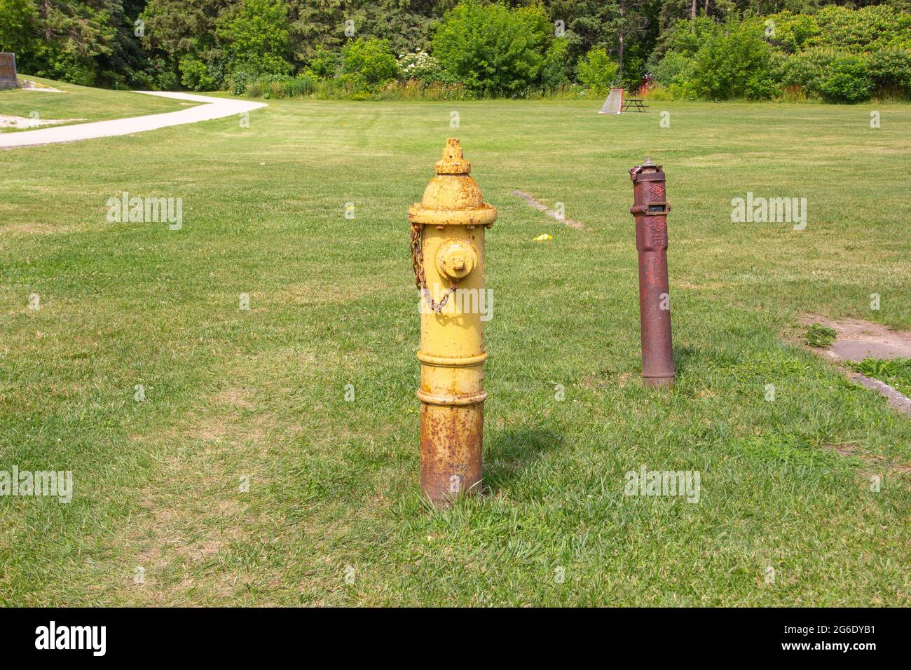 Fire hydrant in a park Stock Photo - Alamy