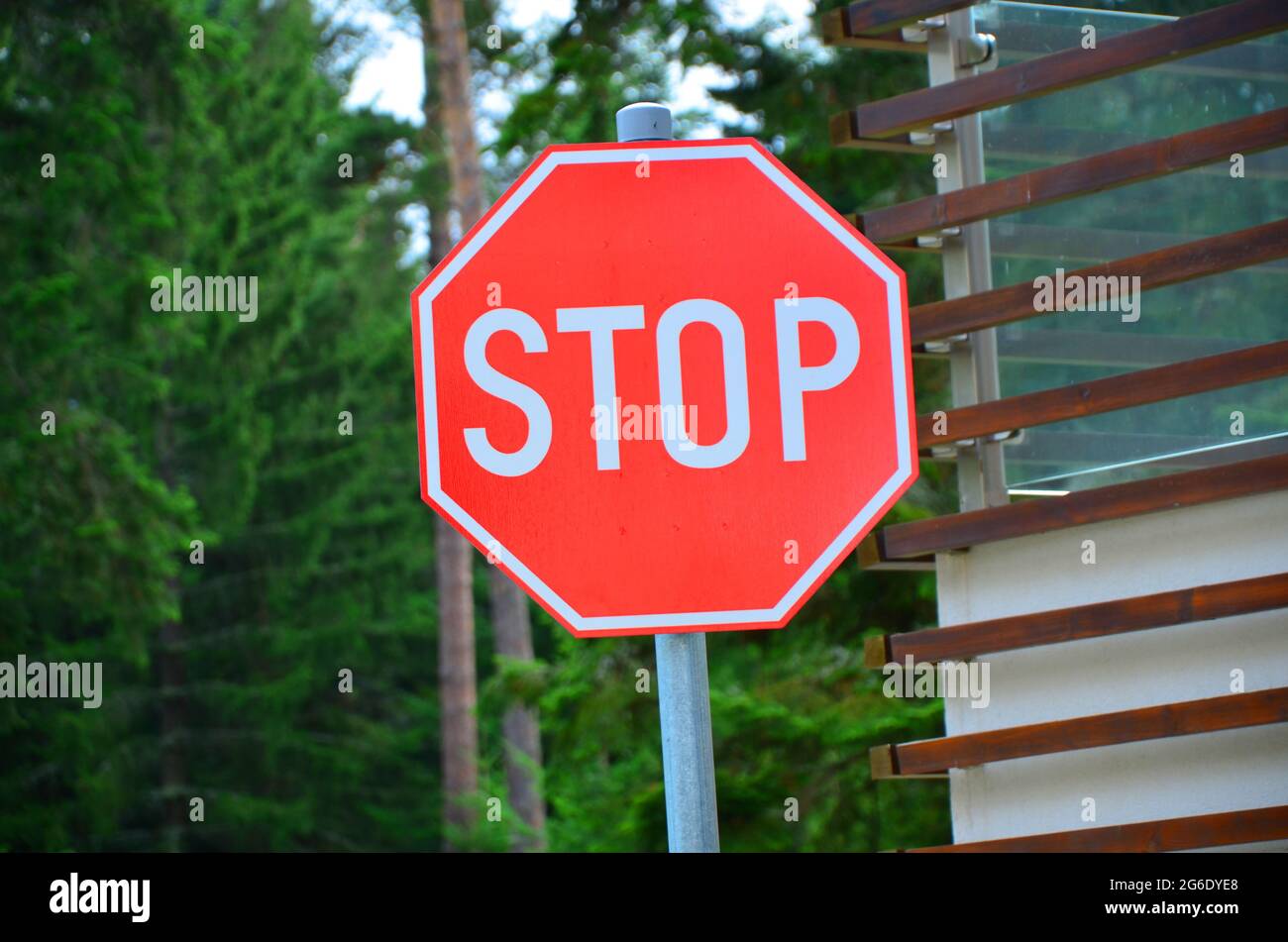 Stop sign with trees hi-res stock photography and images - Alamy
