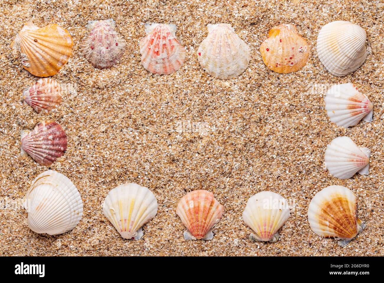 seashells in the sand rectangular border Stock Photo - Alamy