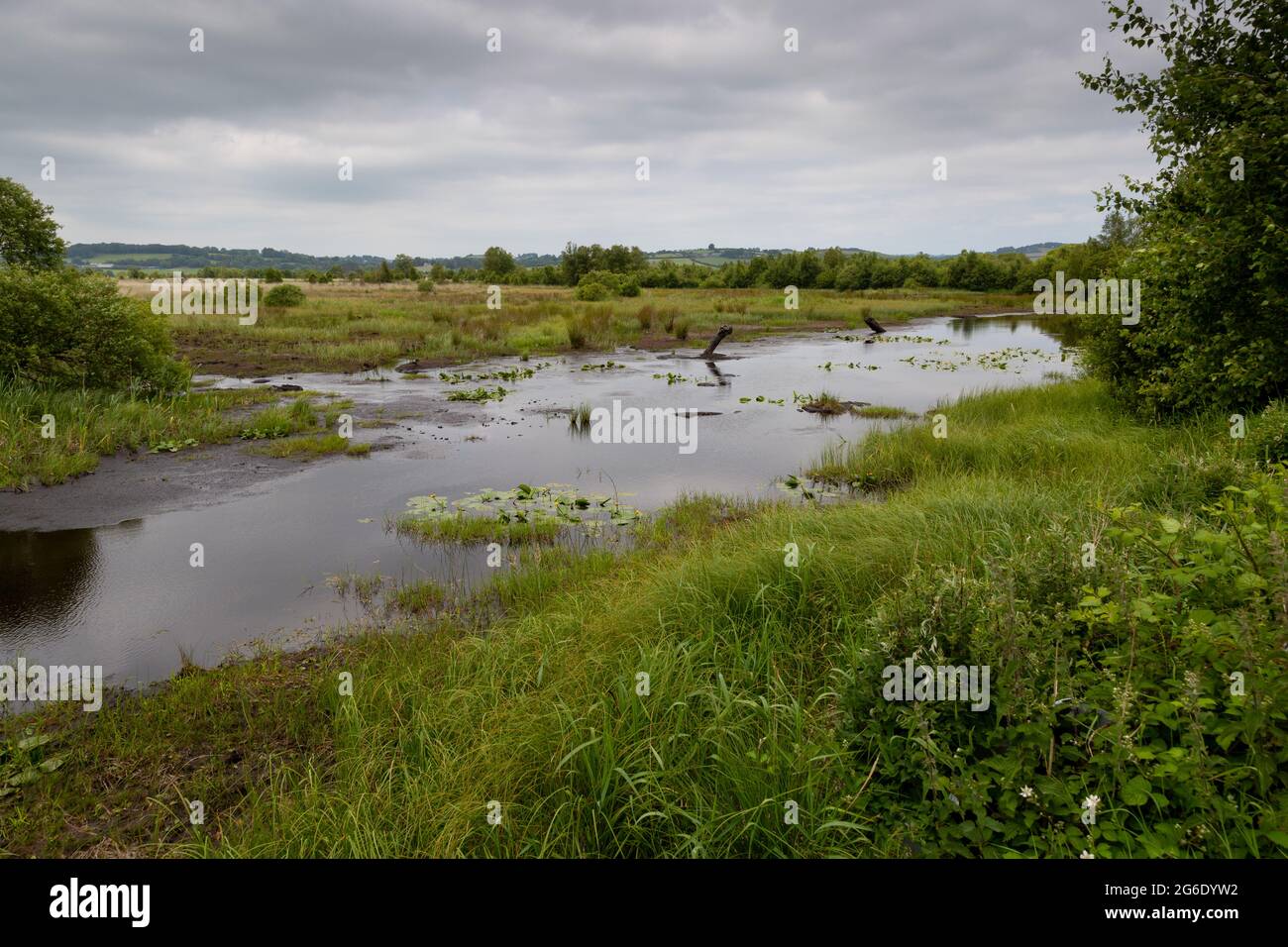 Cors Caron National Nature reserve, one of the largest raised peat bogs ...