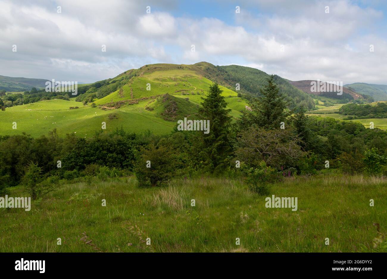 A landscape of green pastures and hills in mid Wales UK Stock Photo - Alamy