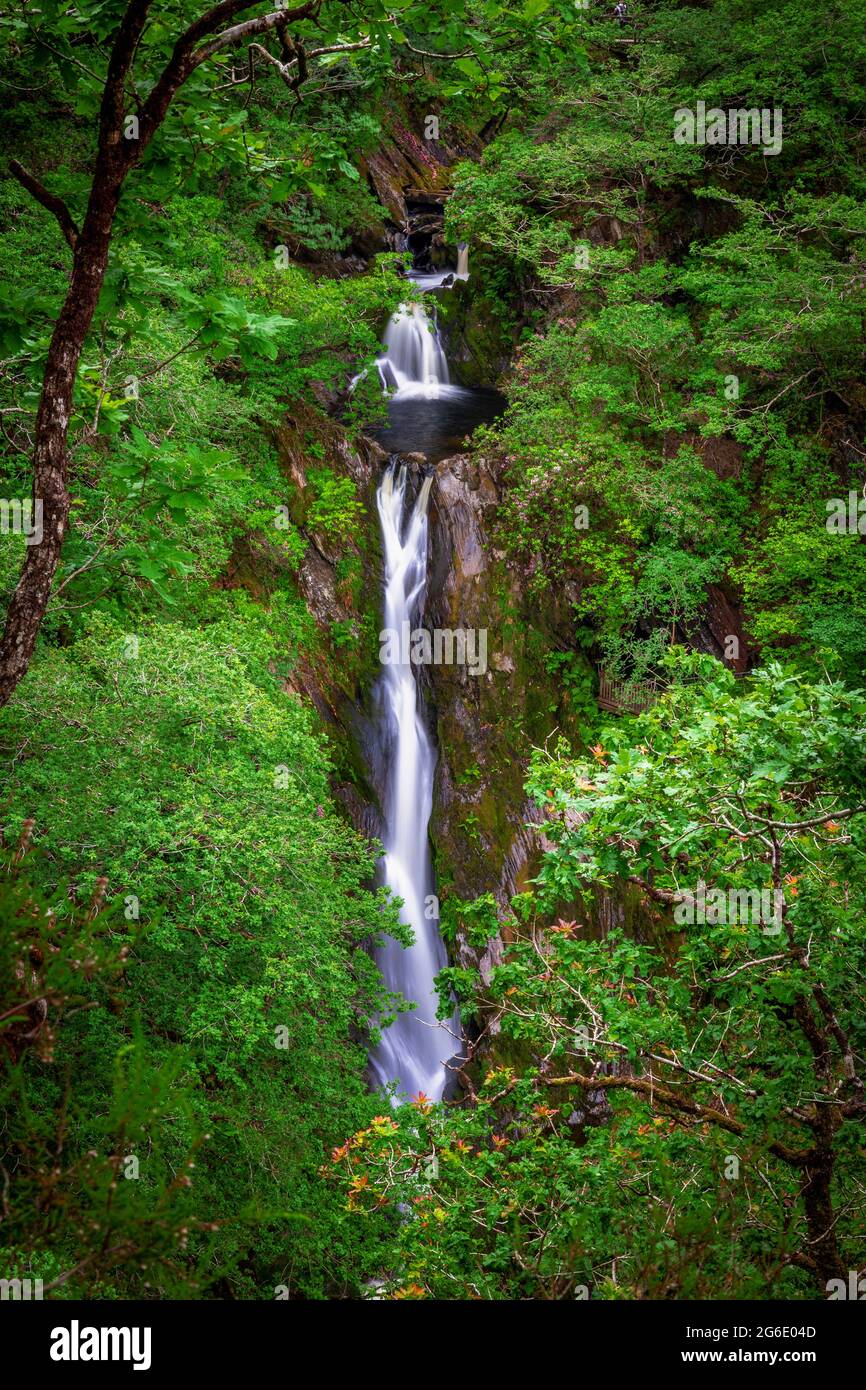 Devil's bridge falls, one of the tallest waterfalls in Wales, situated ...