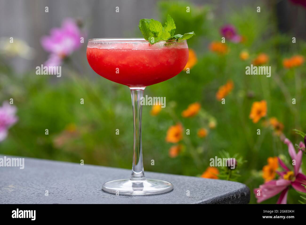 Watermelon tropical drink hi-res stock photography and images - Alamy
