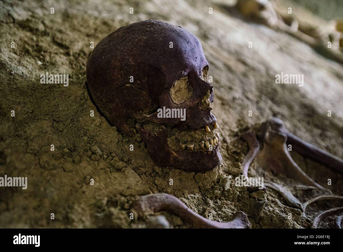 Old human skeleton in ancient tomb at archaeological excavation Stock ...