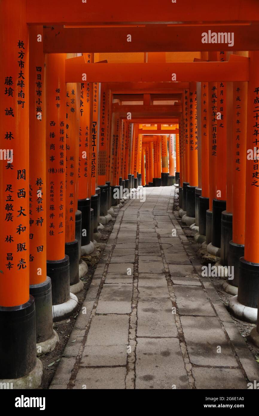 Famous torii gates on the path to Fushimi Inari Taisha shrine on Mount ...