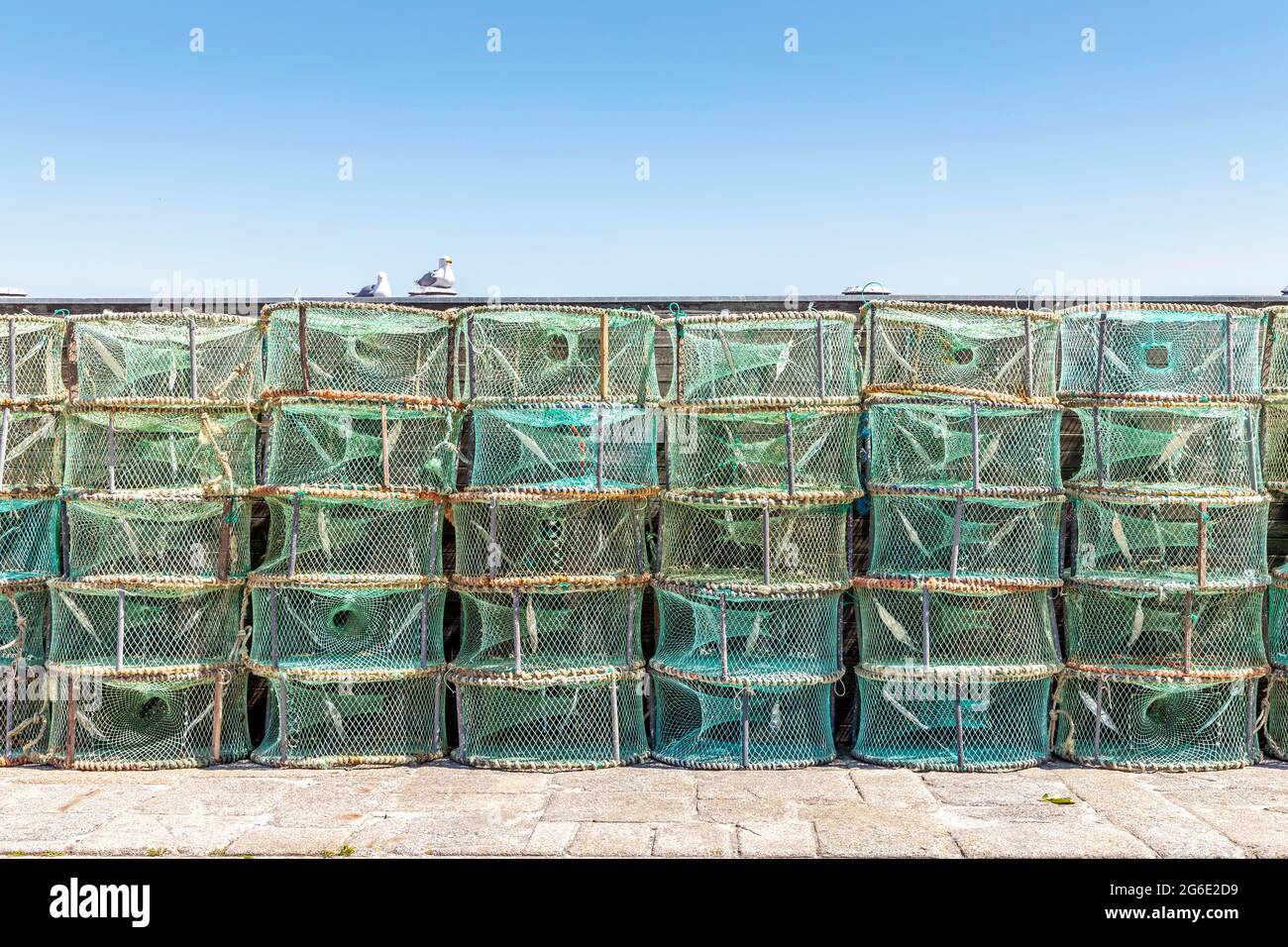 Octopus Trap Octopus Traps High Resolution Stock Photography and Images ...