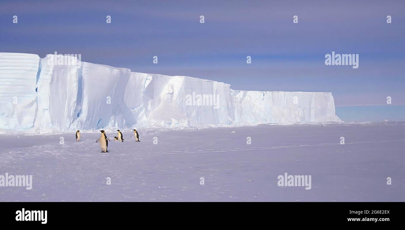 Atka bay hi-res stock photography and images - Alamy