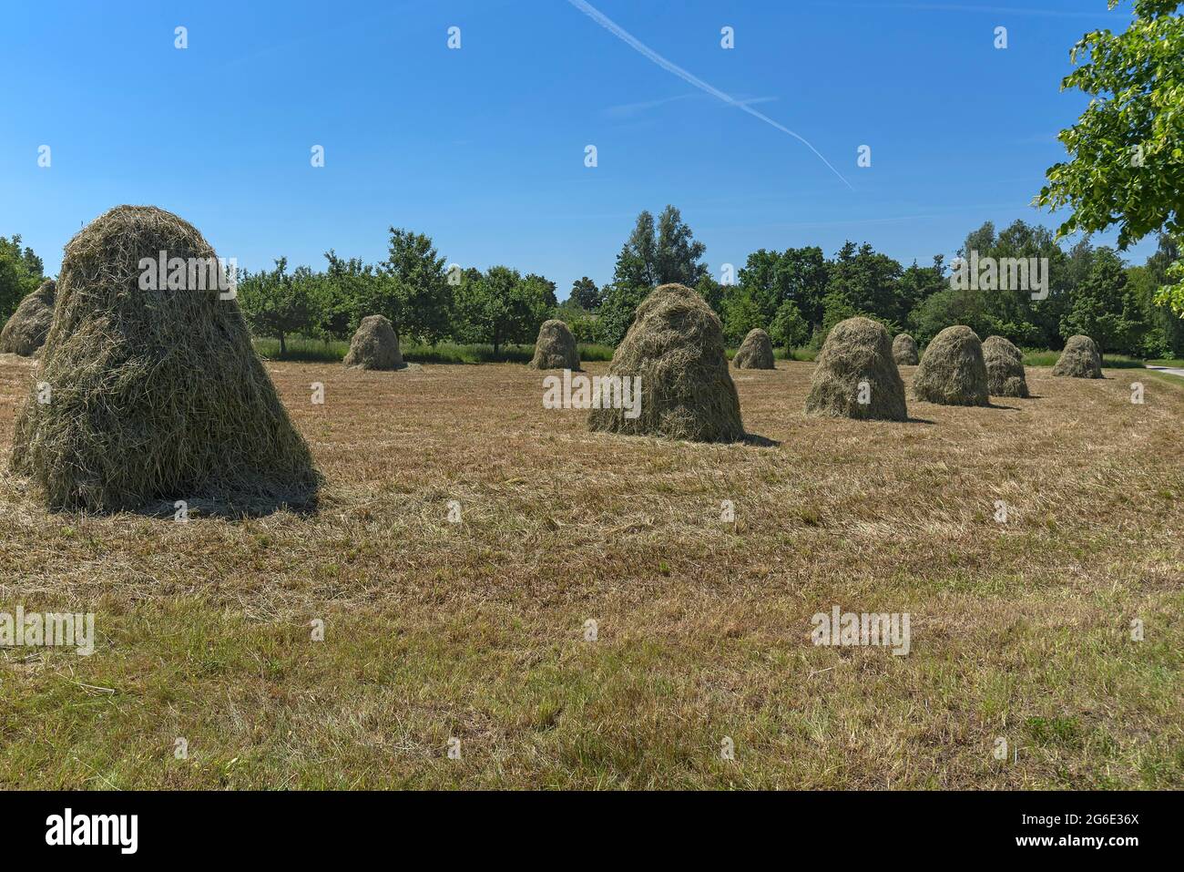 Piled up haystacks on a field, Franconian Open Air Museum, Bad ...