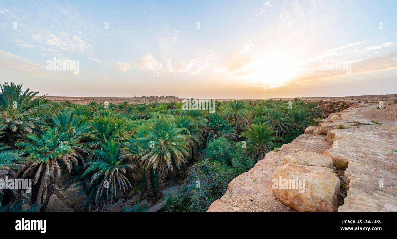 Cliff edge and valley full of palm trees, sunset, oasis Source Bleu ...