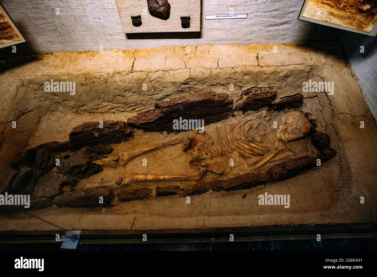 Old human skeleton in ancient tomb at archaeological excavation Stock ...