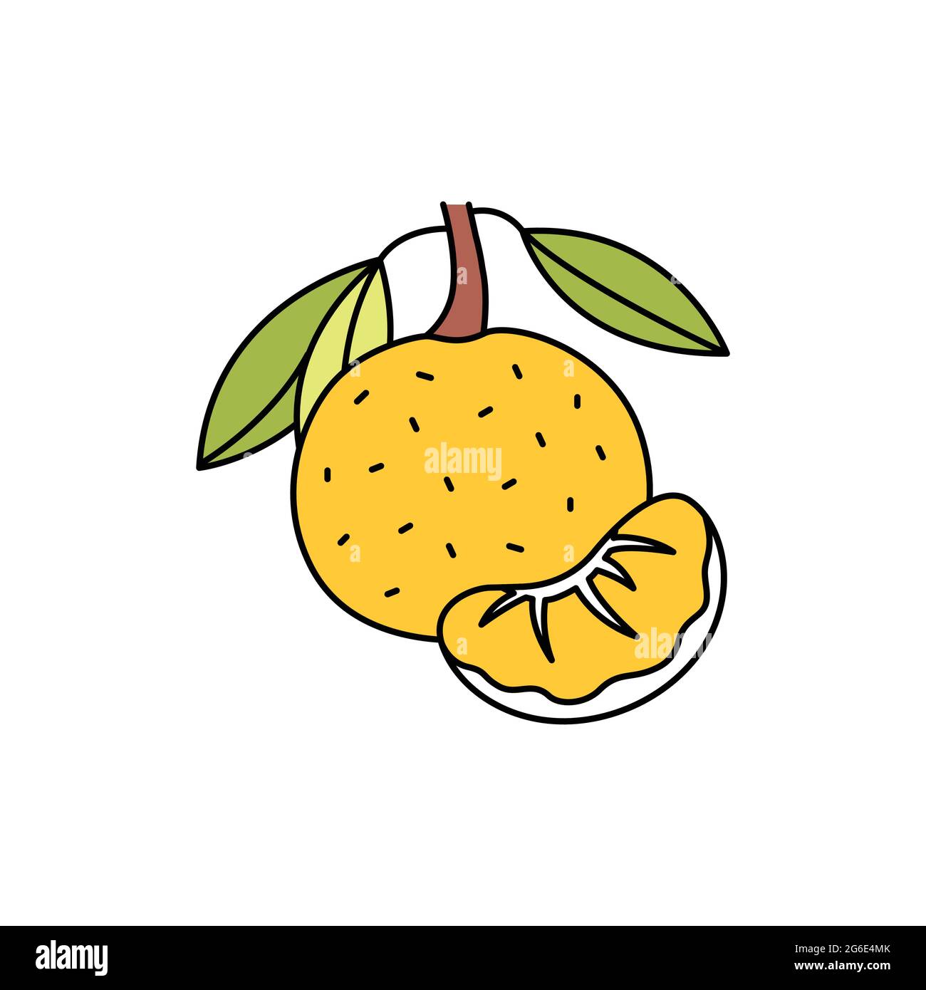 Citrus olor line icon. Essential oils fruit seeds. Pictogram for web ...