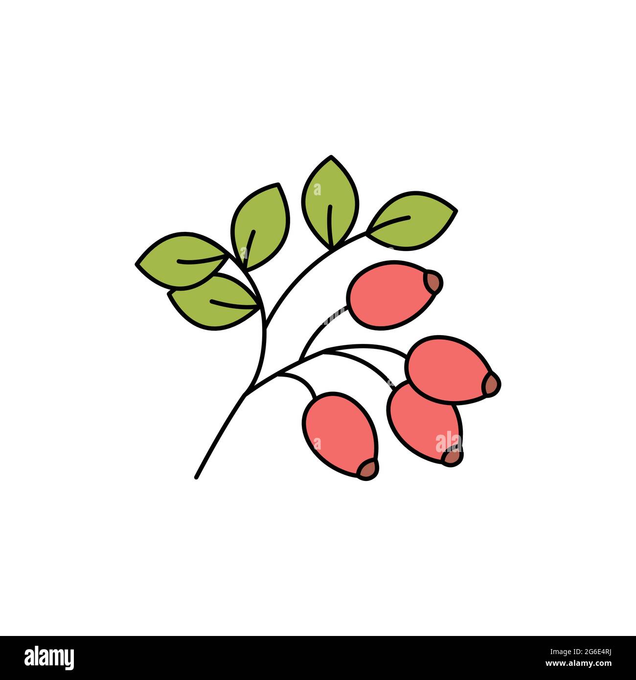 Rosehip olor line icon. Essential oils fruit seeds. Pictogram for web ...