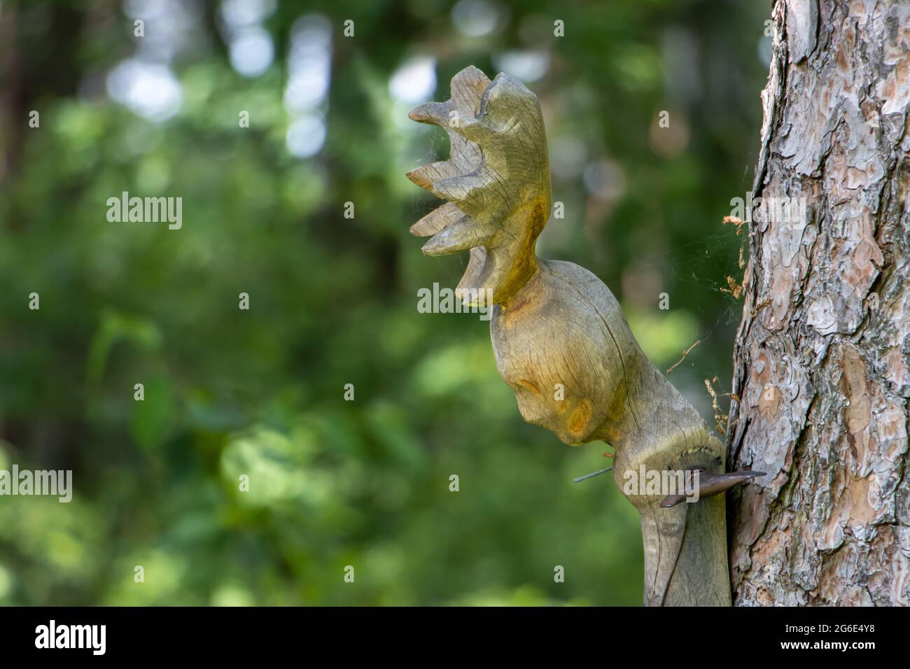 Wood carved tree human face hi-res stock photography and images - Alamy
