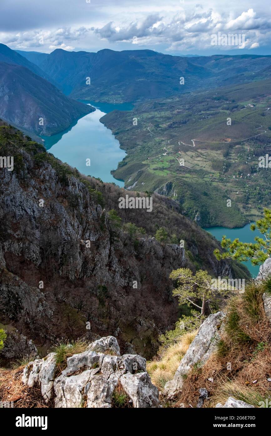 Viewpoint Vidikovac Banjska stena, Tara National Park, Serbia Stock ...