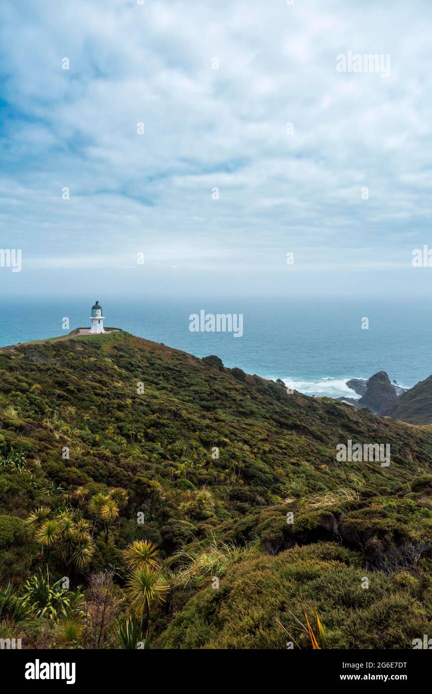 Rerenga hi-res stock photography and images - Alamy