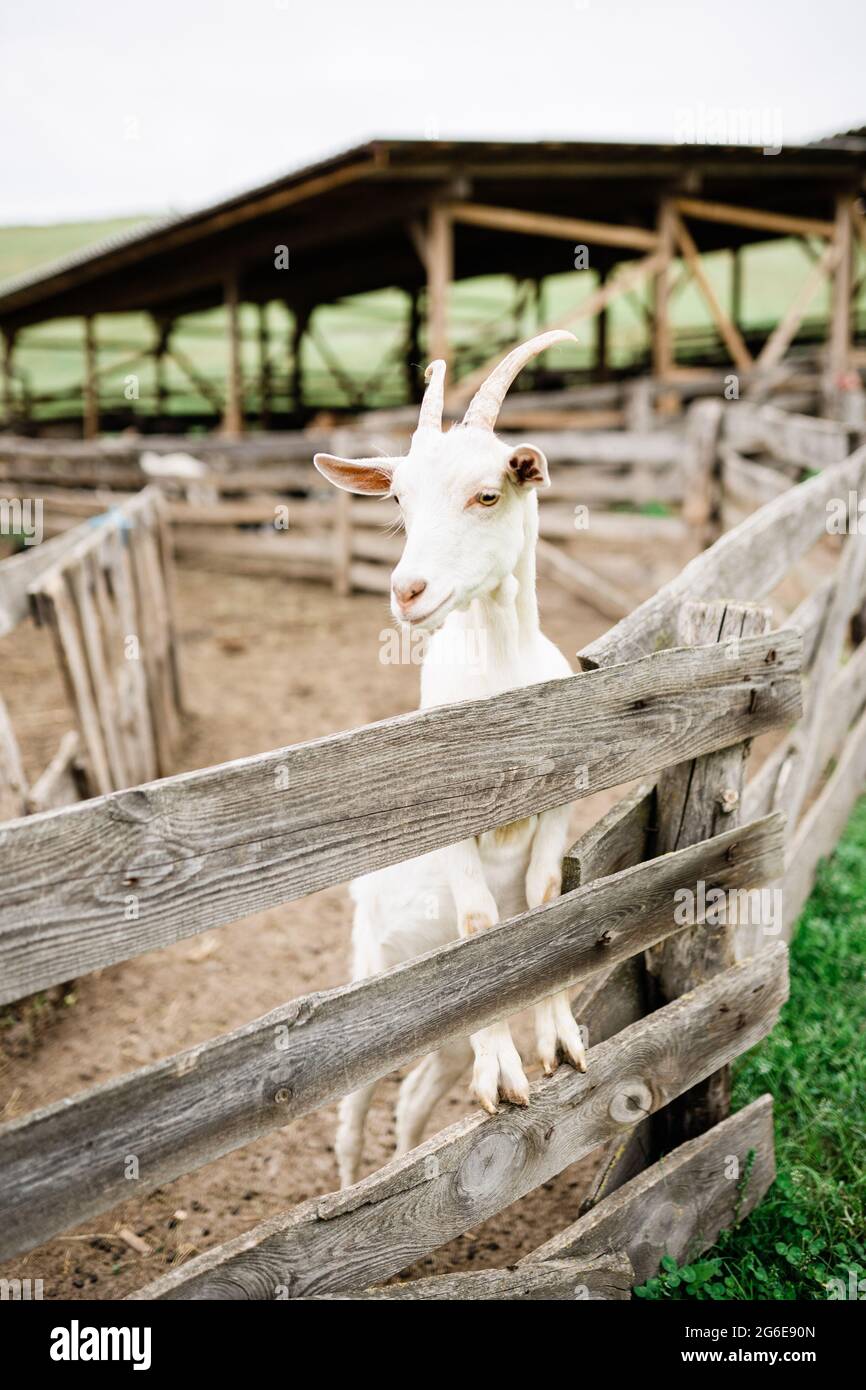 Life at the countryside hi-res stock photography and images - Alamy