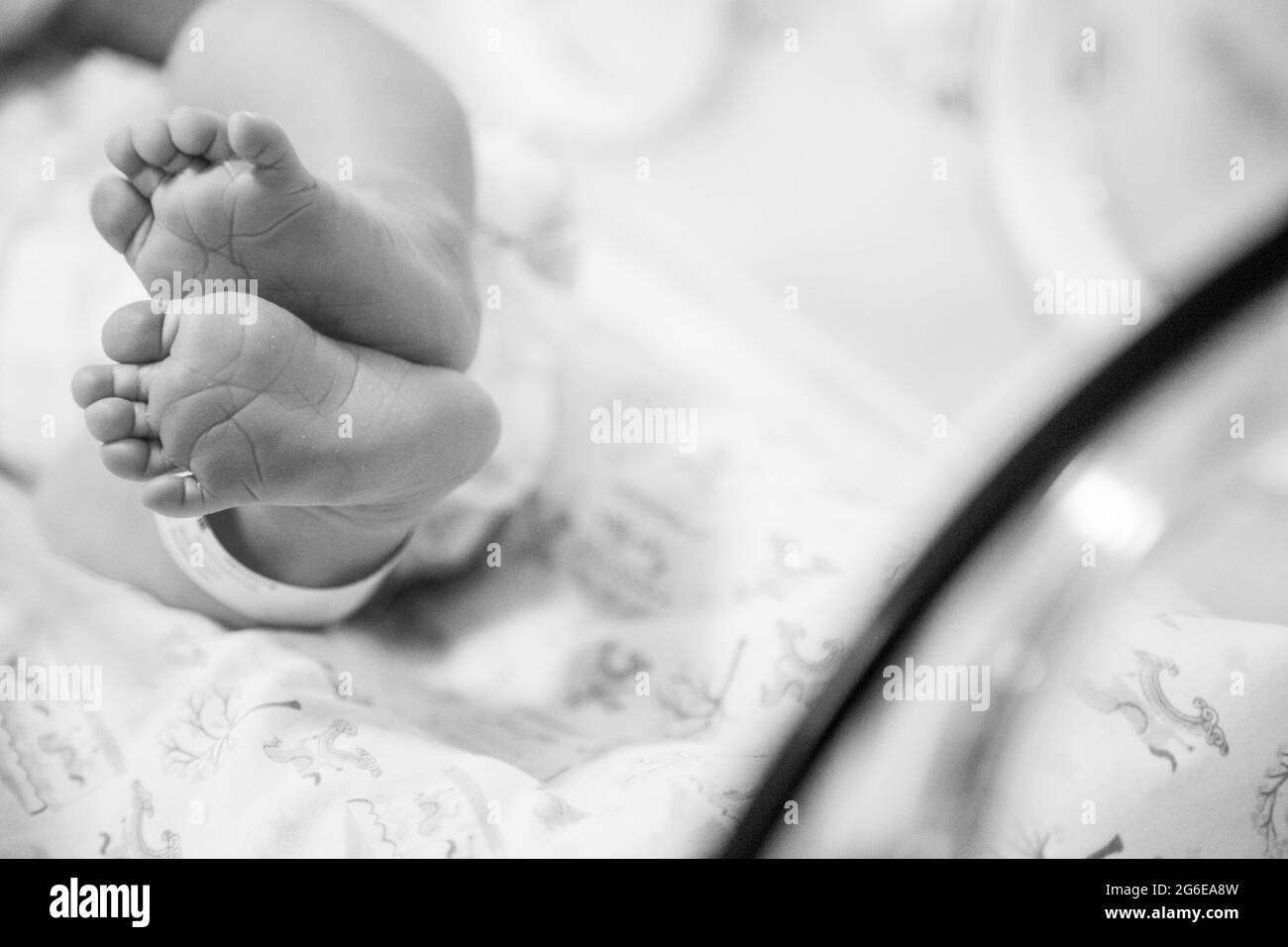 Newborn Baby Feet Black And White