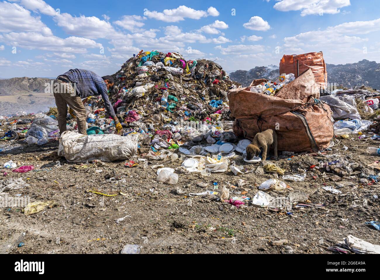 Hide the dumpster hi-res stock photography and images - Alamy