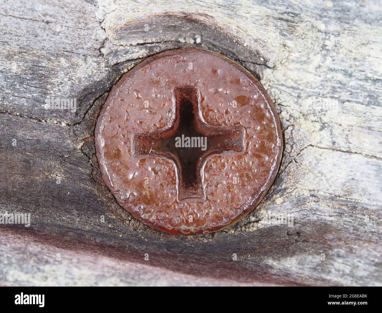 Screw head with Philips screw-drive Stock Photo - Alamy