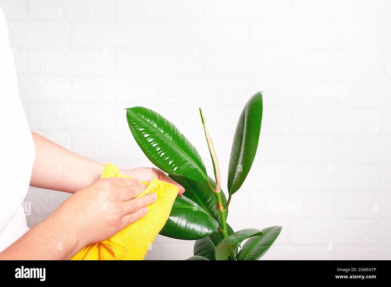 Dust off hi-res stock photography and images - Alamy