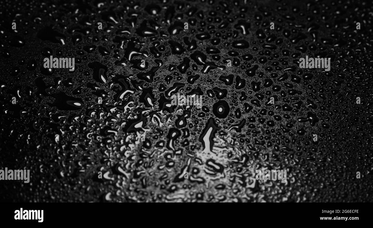 Water droplets on black background. Close-up photo of small water drops ...