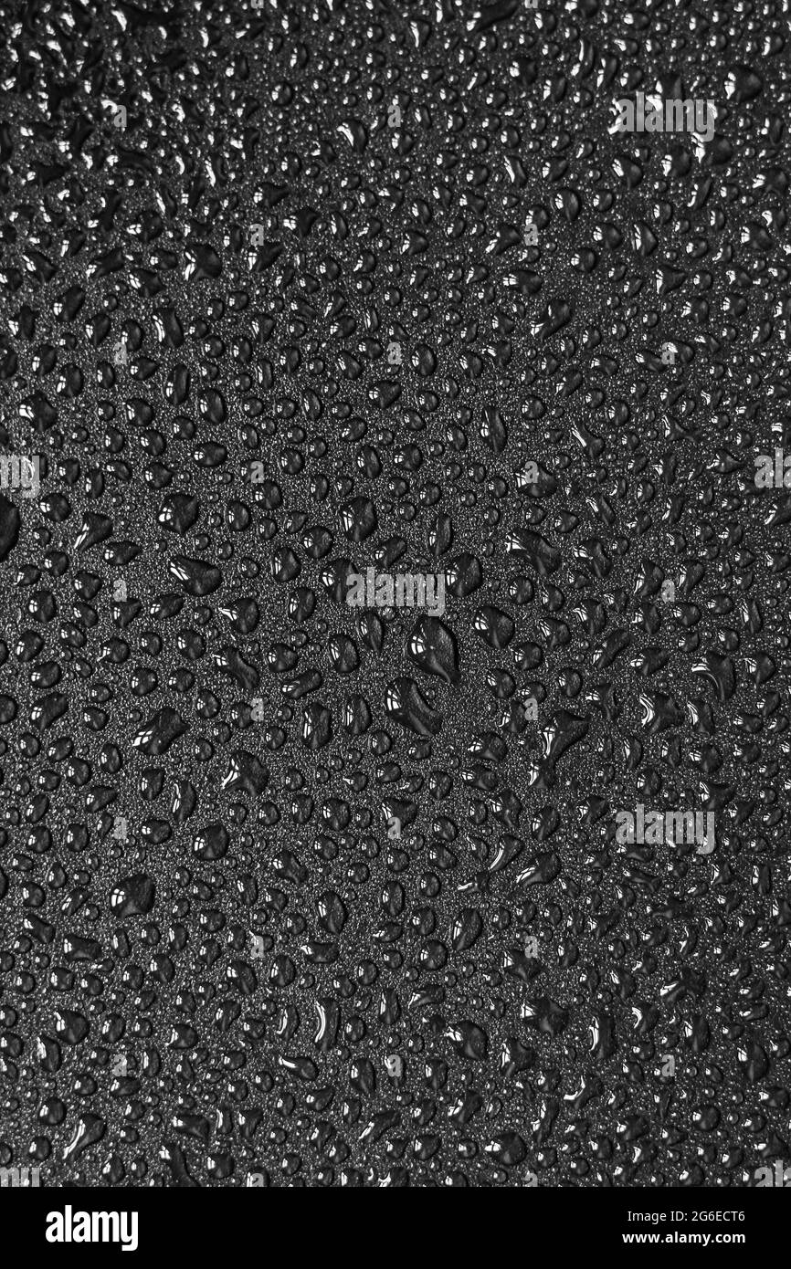 Water droplets on black background. Close-up photo of small water drops ...