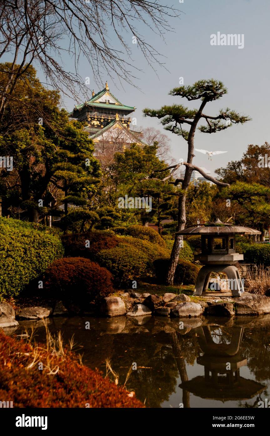 Five main elements hi-res stock photography and images - Alamy