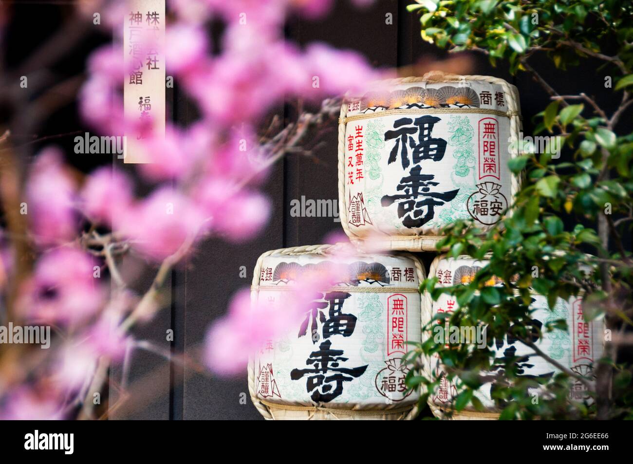 Japanese hemp rope High Resolution Stock Photography and Images - Alamy