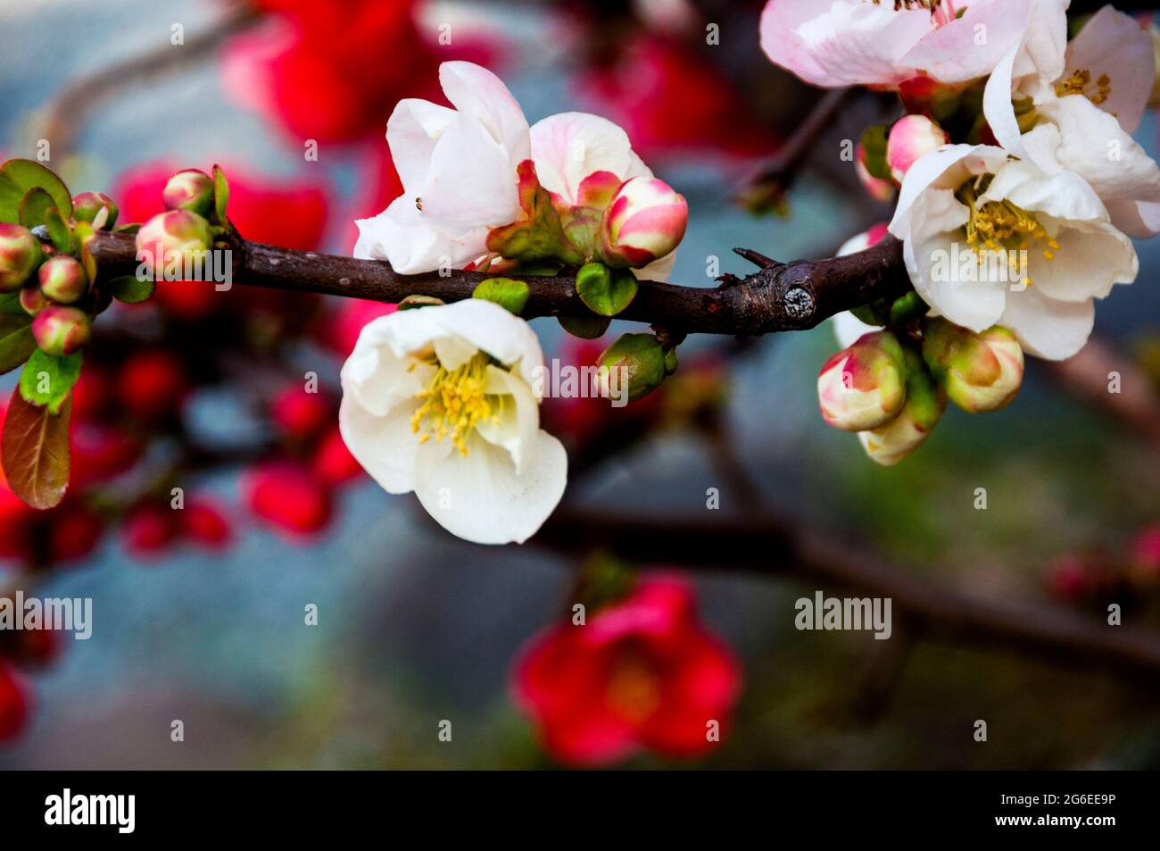 Human existence hi-res stock photography and images - Alamy