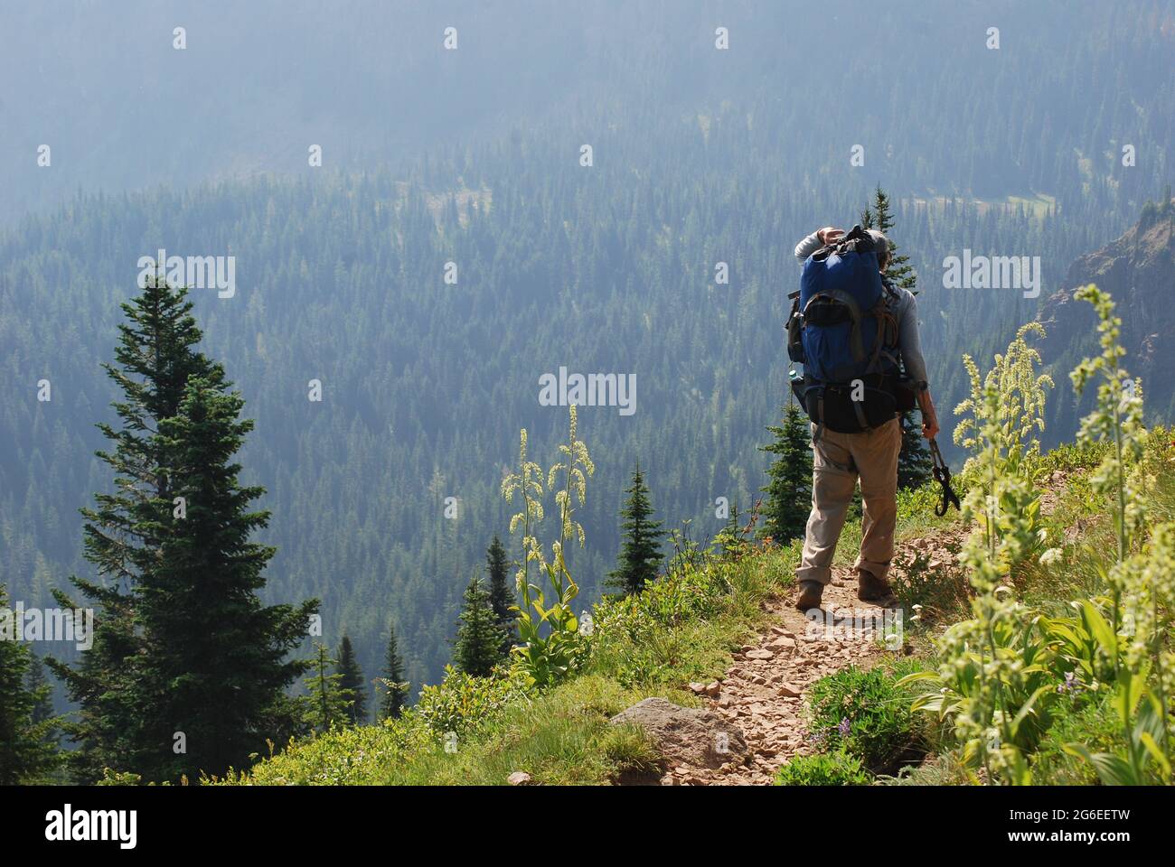 North Cascade Mountain backpacker Stock Photo - Alamy