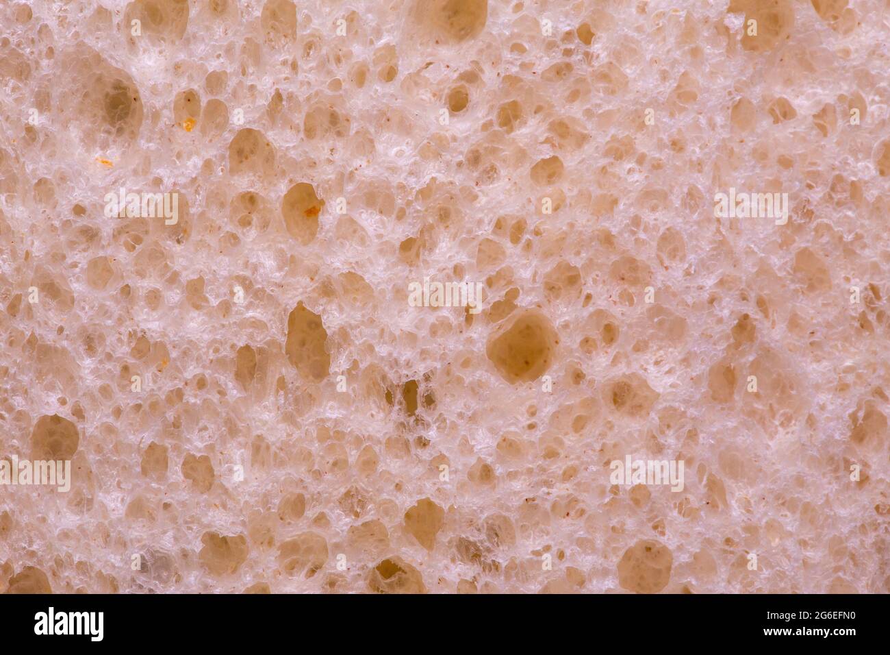 Loaf Of Bread Texture