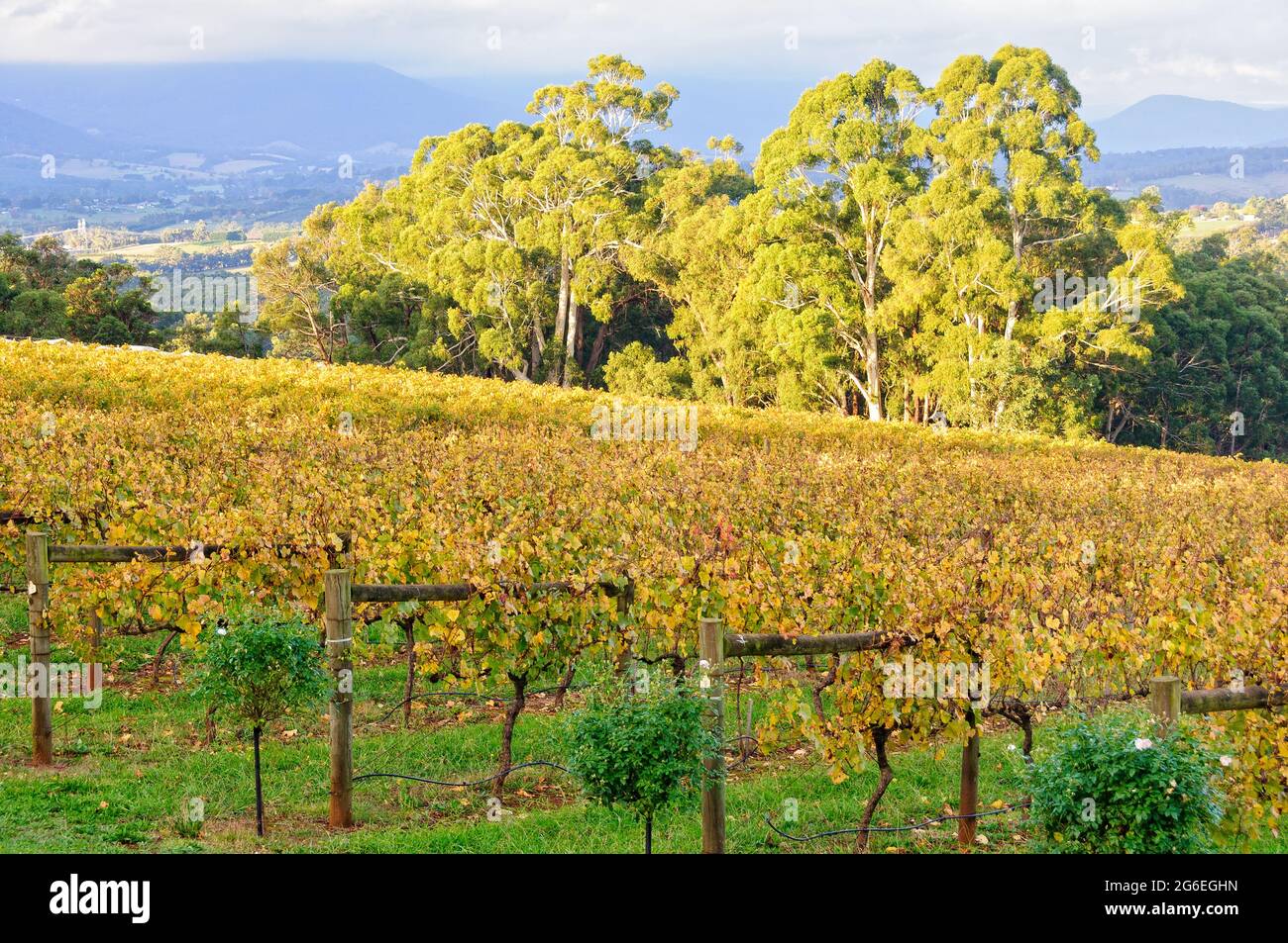 The valley of victoria hi-res stock photography and images - Alamy