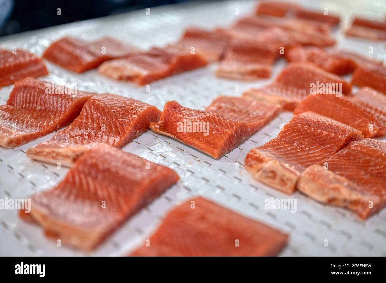 Metal conveyor processing hi-res stock photography and images - Alamy