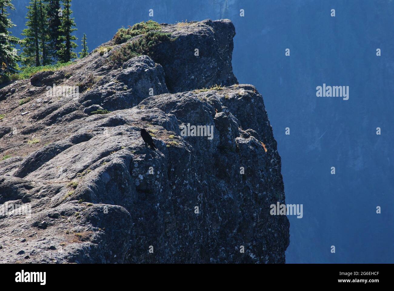 A raven sits on a cliff in the Cascades Stock Photo - Alamy