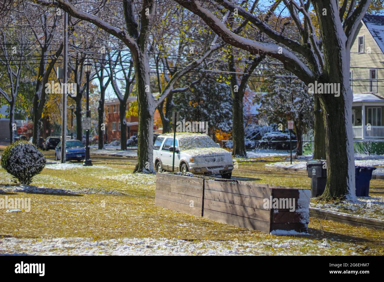 fall to winter plants, trees, and leaves changing colors Stock Photo ...