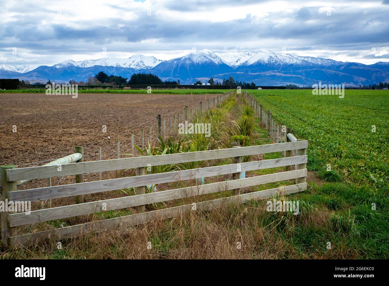 Native plants and trees are planted along farm fences and around ...