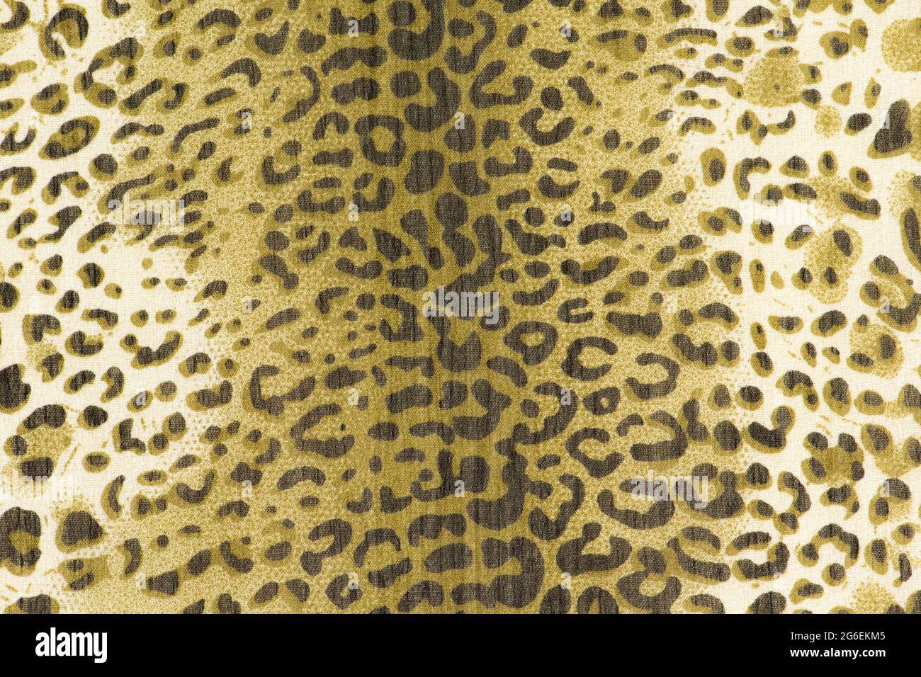Leopard print fabric texture hi-res stock photography and images - Alamy