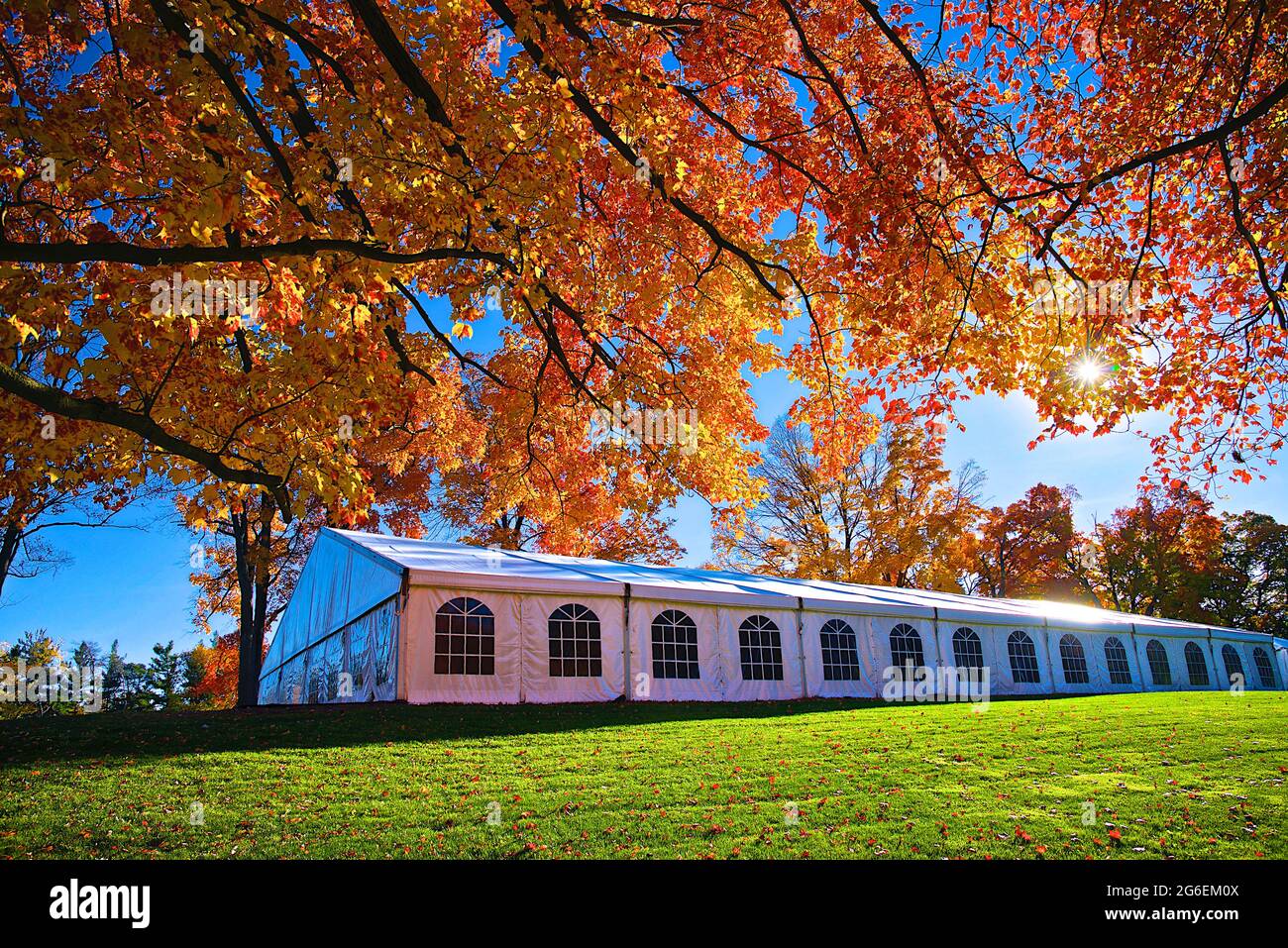 A temporary event tent set up on the lawn with the autumn leaf colour ...