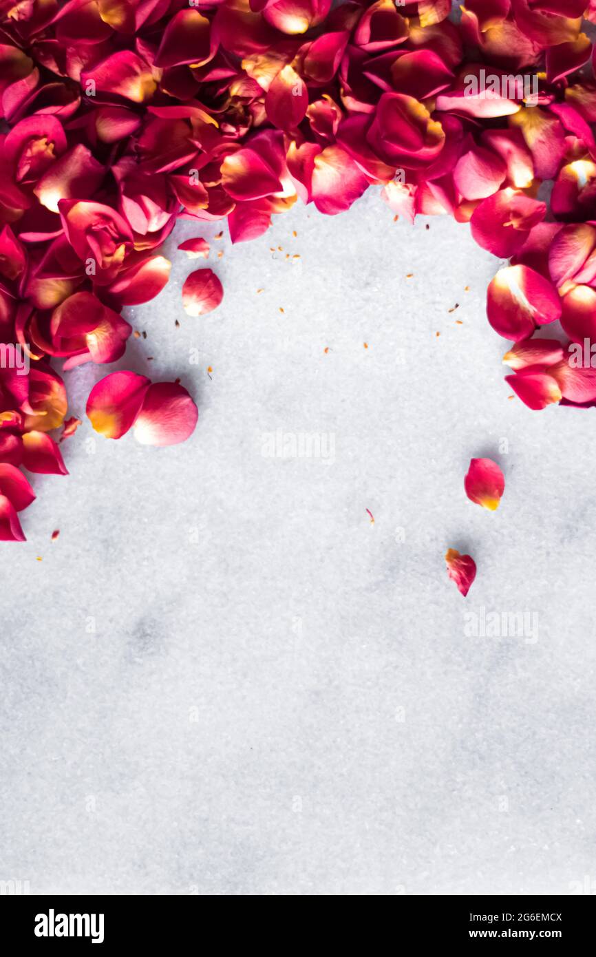 Rose petals on marble background, floral decor and wedding flatlay, holiday greeting card ...
